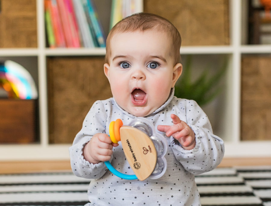 Kids II, Hape Enter Joint Venture for Co-Branded Baby Einstein Toys