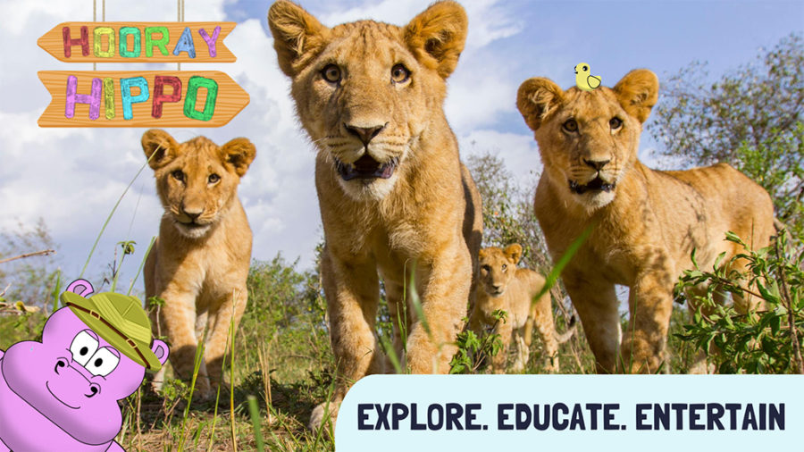 Edutainment Licensing Appointed as Distribution Partner for Hooray ...