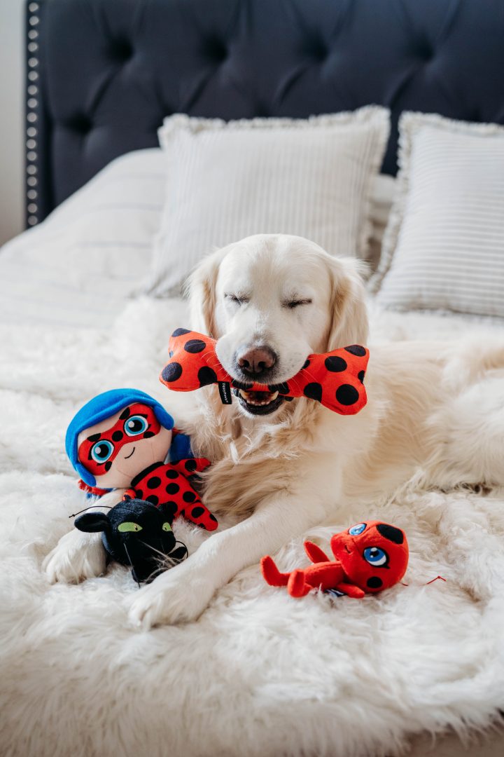 ZAG Enters Billion Dollar Pet Space with ZippyPaws Miraculous License ...